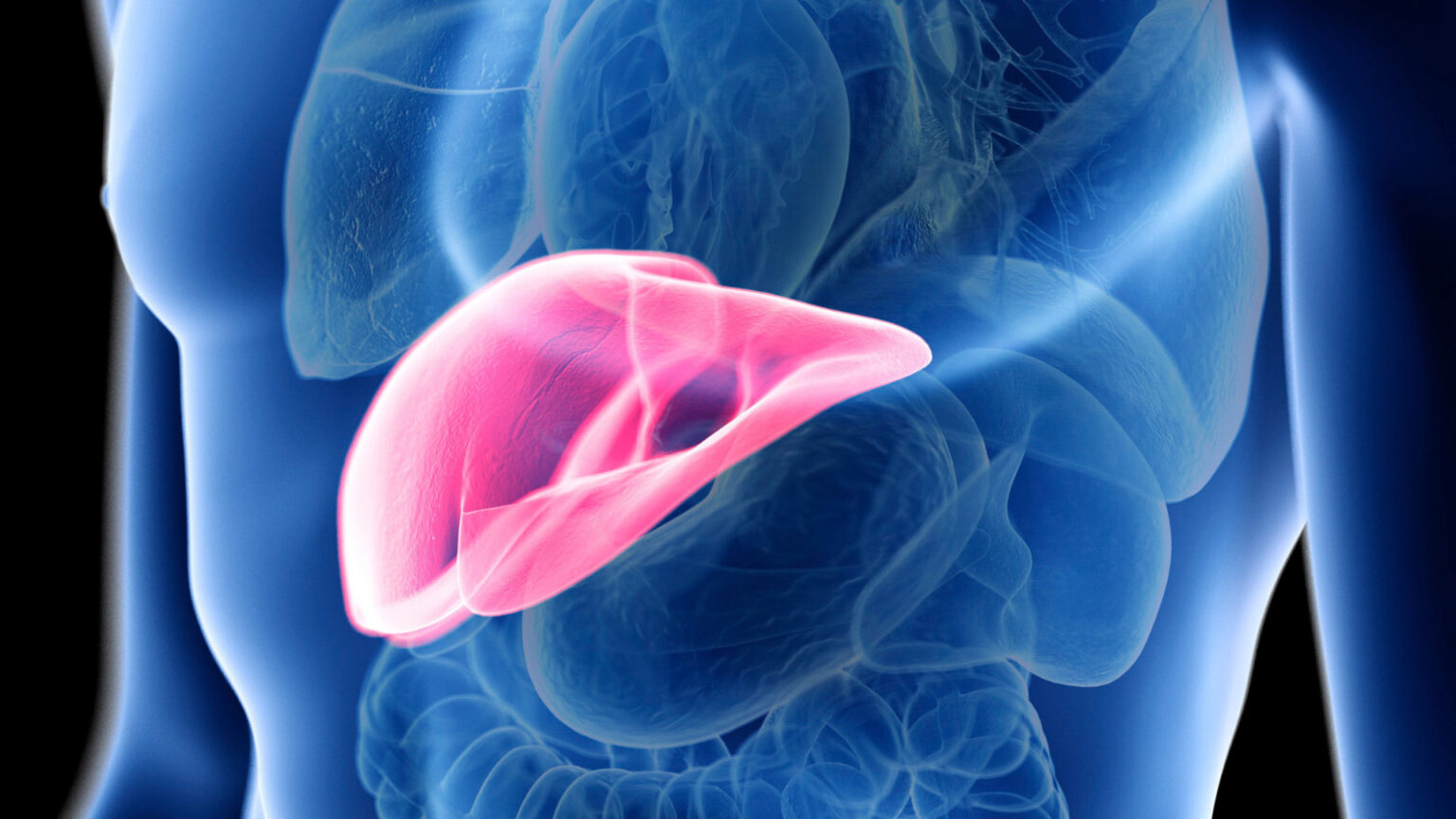 Elastografia hepática: cirrose e hepatite são doenças que podem ser ...